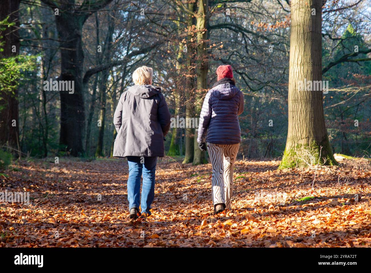 people walking at sandy path with leaves through domain 't Zand ...