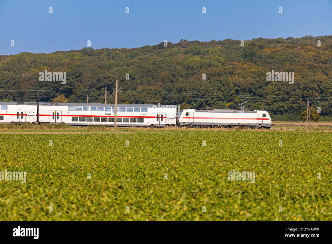 white double-decker people train across a field. High quality photo ...