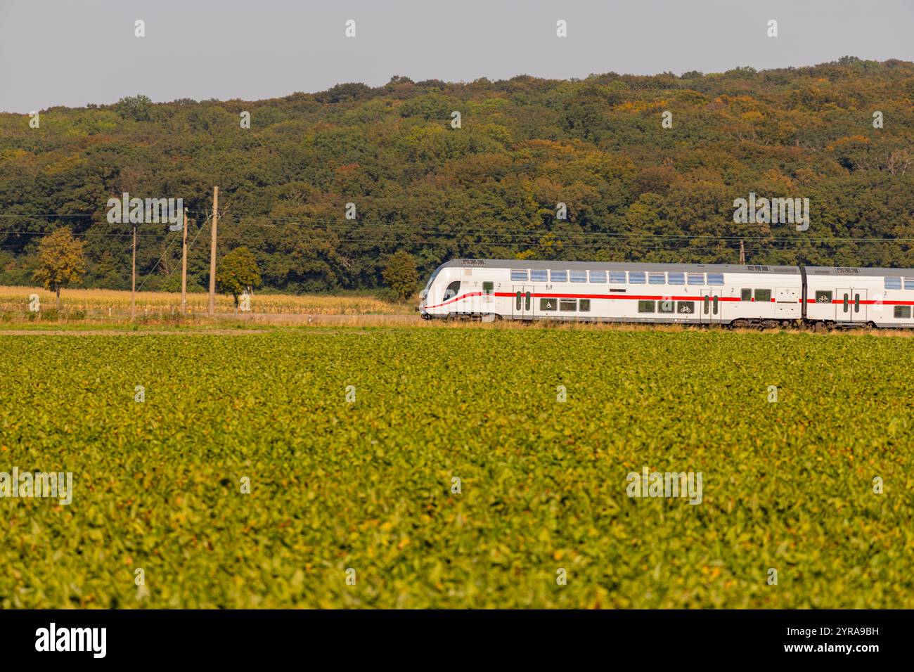 white double-decker people train across a field. High quality photo ...