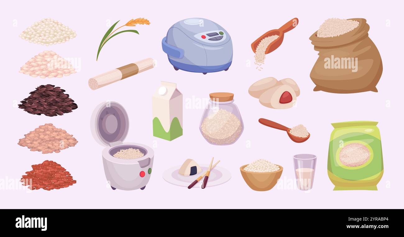 Rice. Type of grain asian food exact vector straw crop illustrations in ...