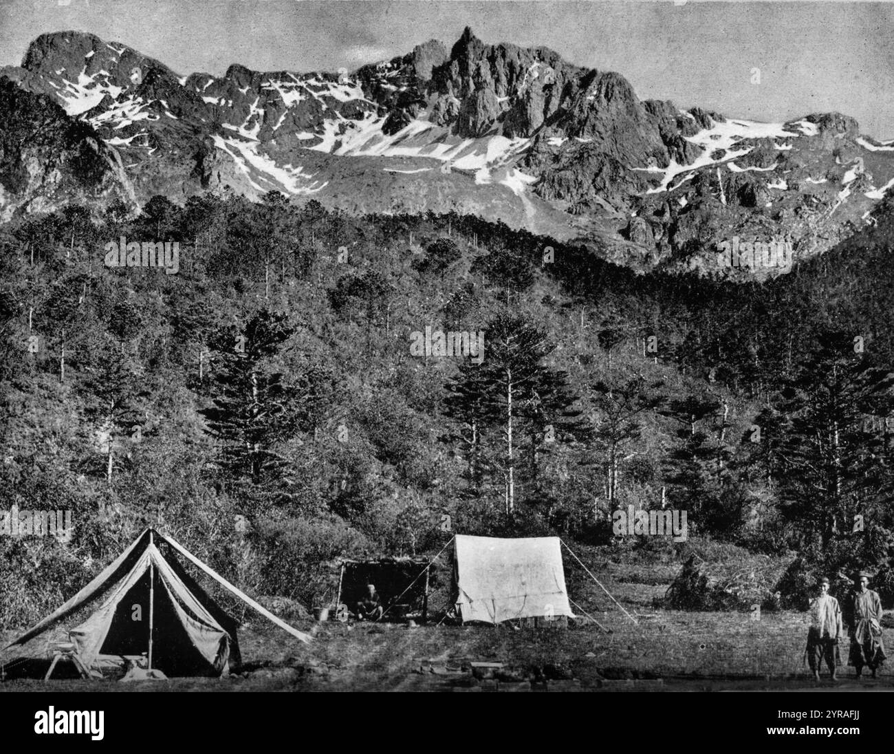 George Forrest's camp in the Lijiang range. Plant-hunting in China ...