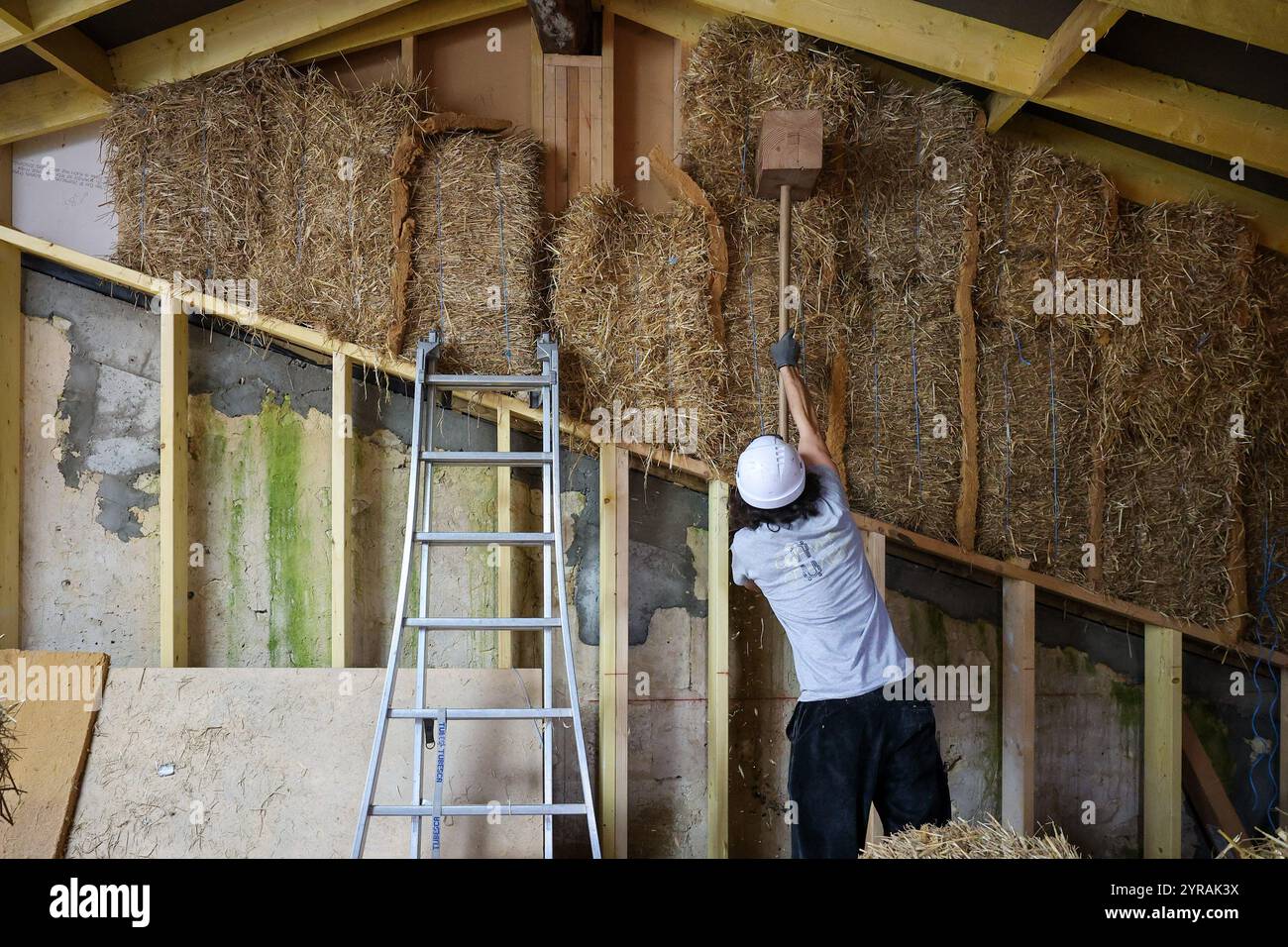 Thermal insulation of a house with straw *** Local Caption *** Stock ...