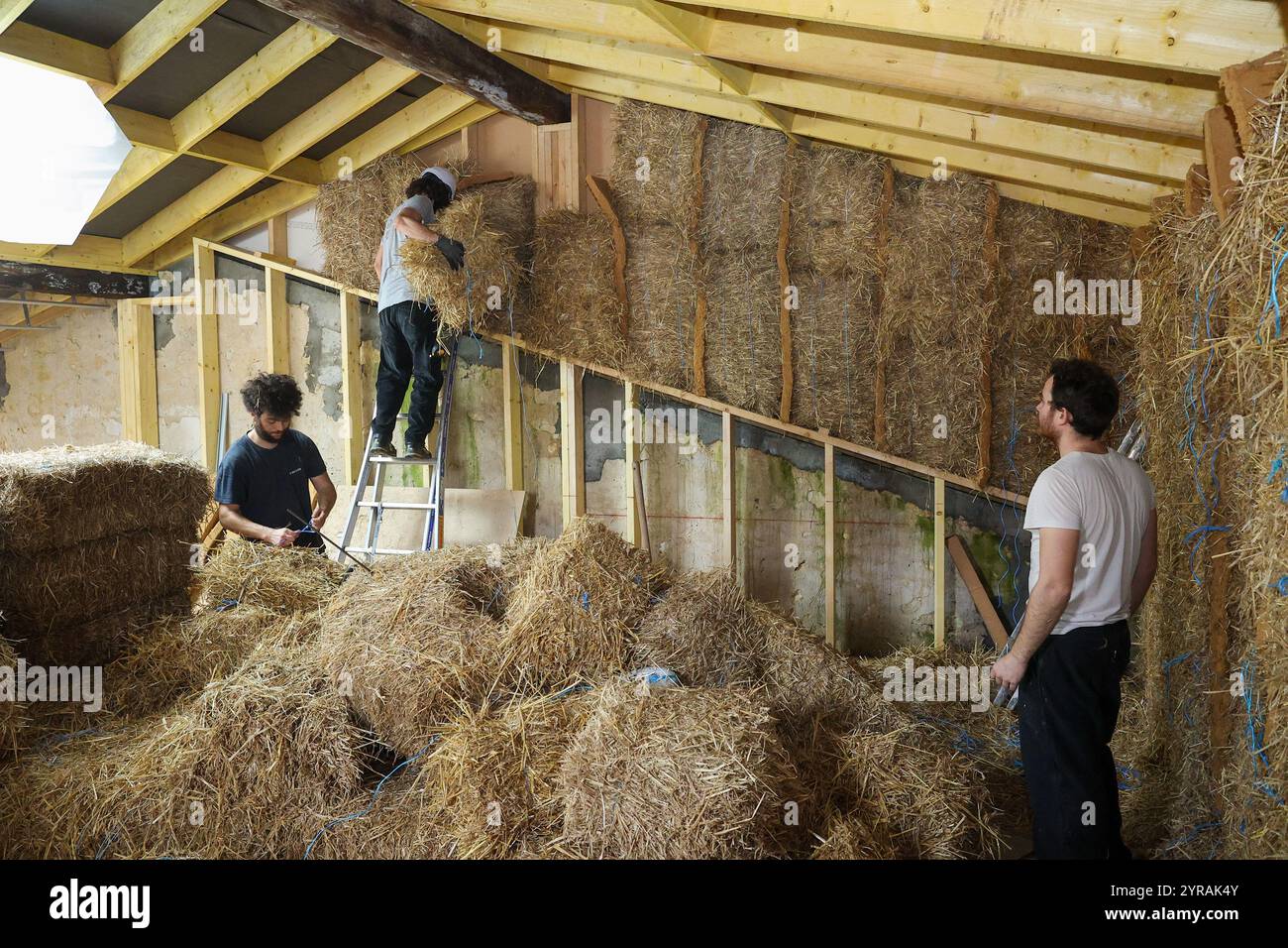 Thermal insulation of a house with straw *** Local Caption *** Stock ...