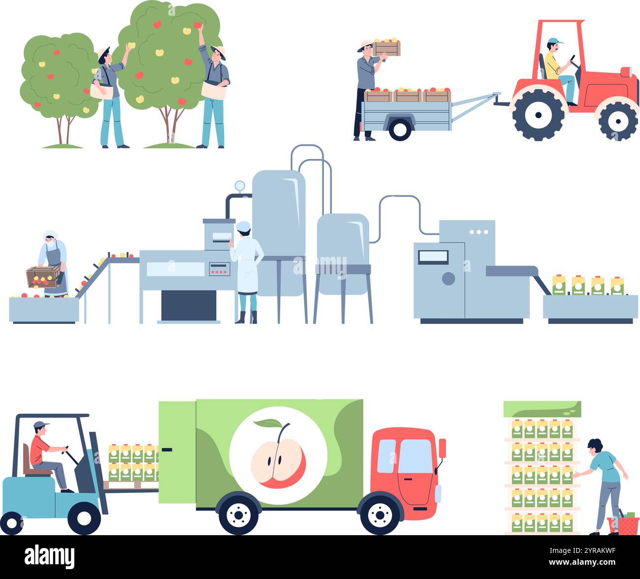Industrial production of apples Stock Vector Images - Alamy