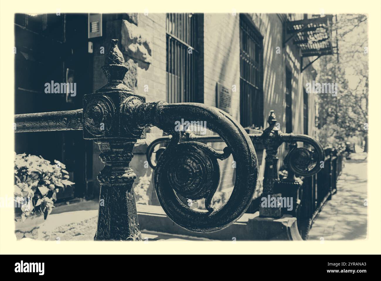 Black and white photo of a wrought iron fence with a spiral design. A ...