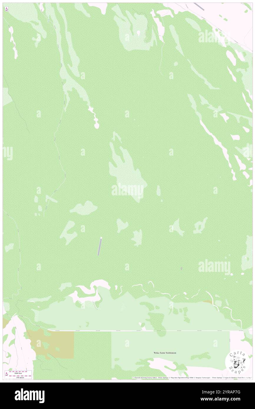 Mawhera forest hi-res stock photography and images - Alamy