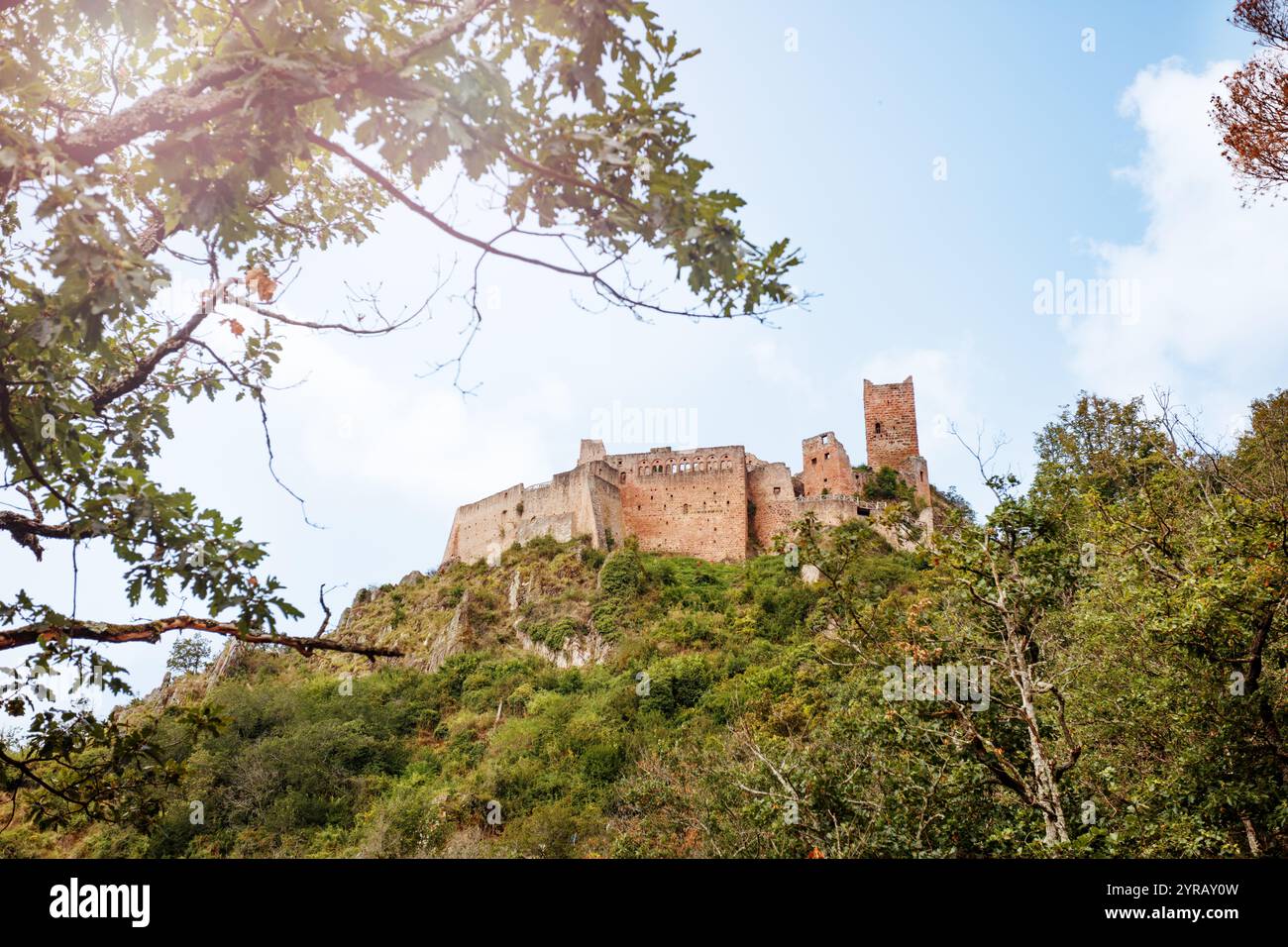 Ancient Chateau de Saint-Ulrich atop hill surrounded by greenery Stock ...