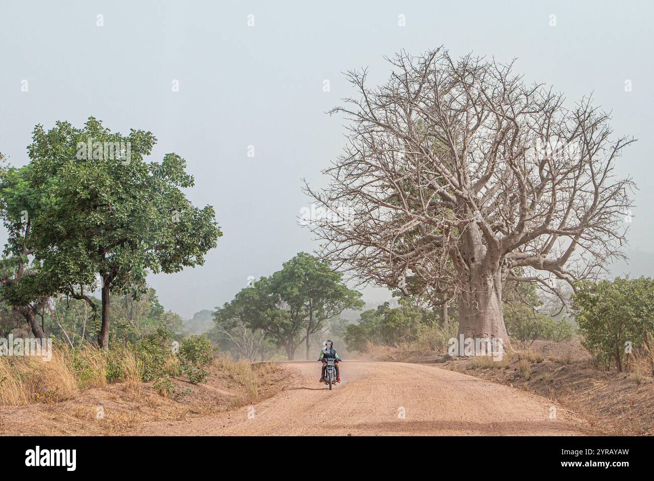 Motorcyclist on a Dusty Rural Road in Togo Surrounded by Green Trees ...