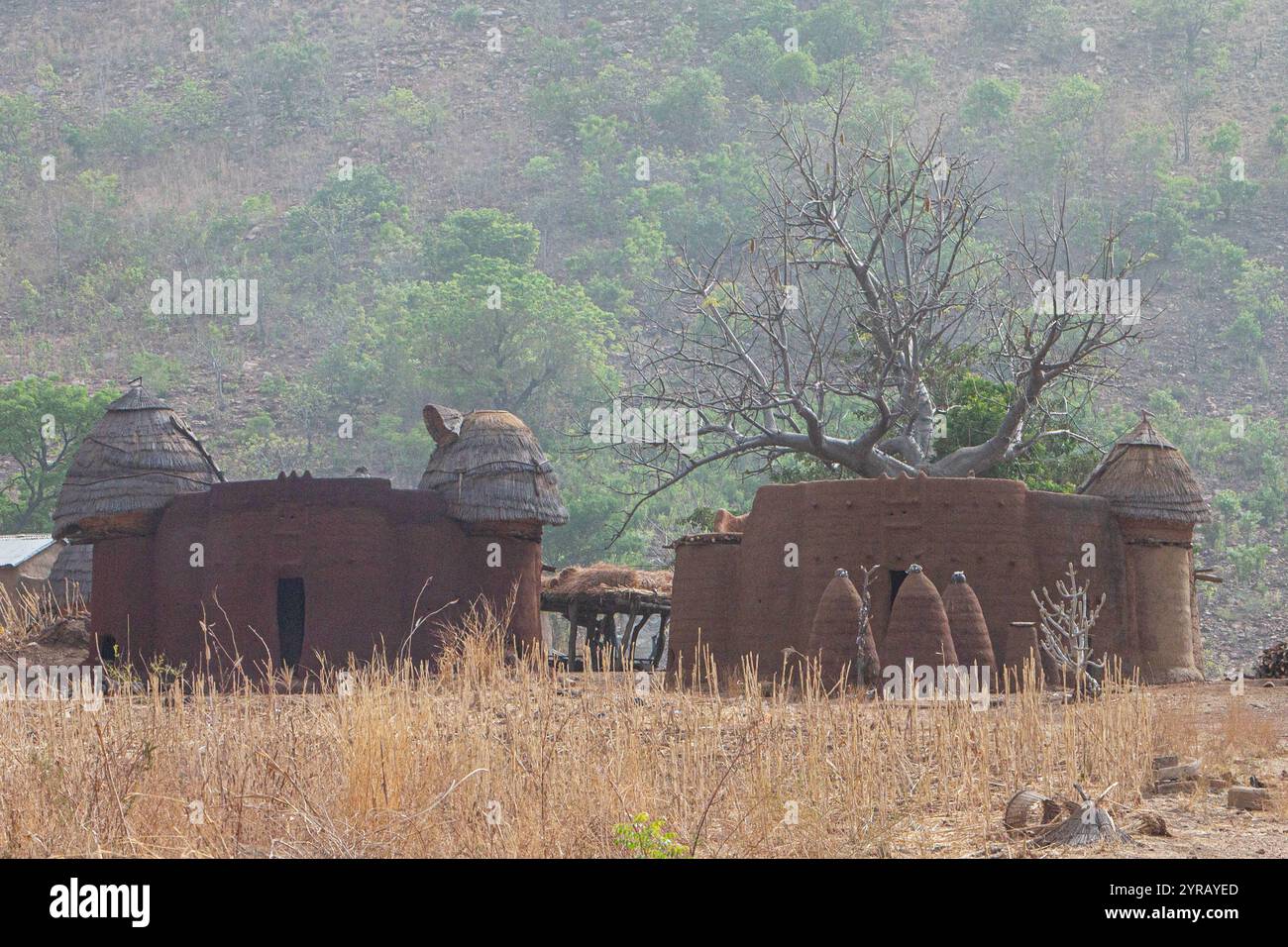 Traditional Clay Village in Togo Nestled Amidst Dry Grass and Baobab ...