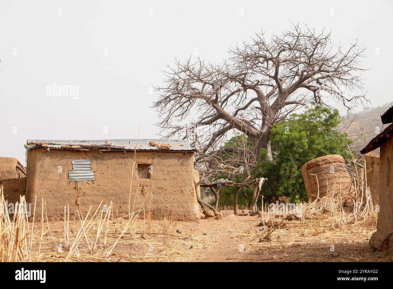 Traditional Clay Village in Togo Nestled Amidst Dry Grass and Baobab ...