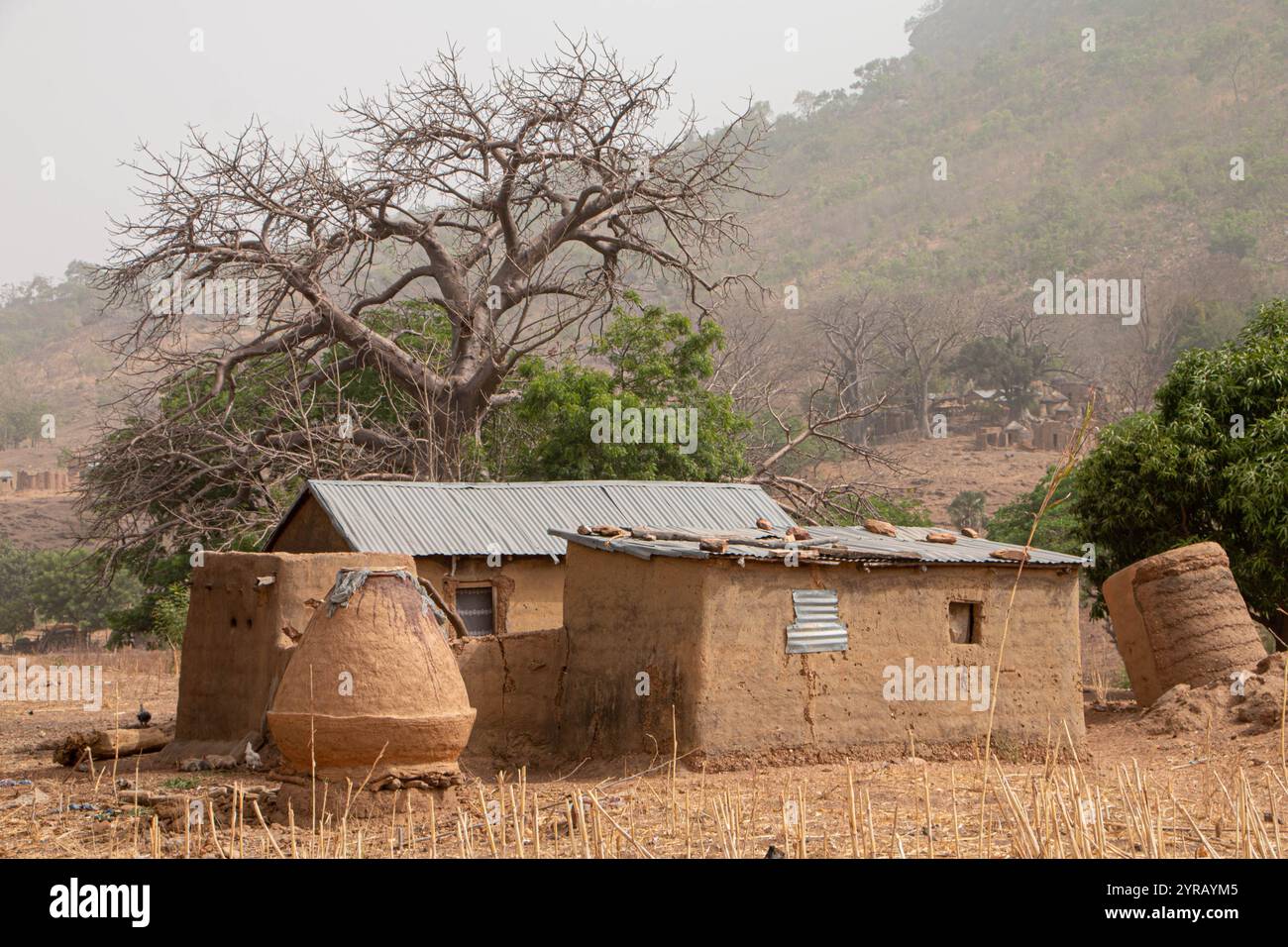 Traditional Clay Village in Togo Nestled Amidst Dry Grass and Baobab ...