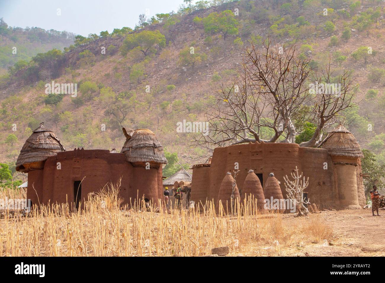 Traditional Clay Village in Togo Nestled Amidst Dry Grass and Baobab ...