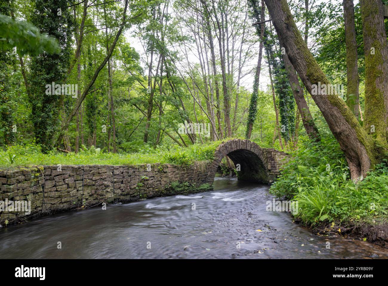 Forest of Dean, Gloucestershire - a small packhorse, or pack horse ...