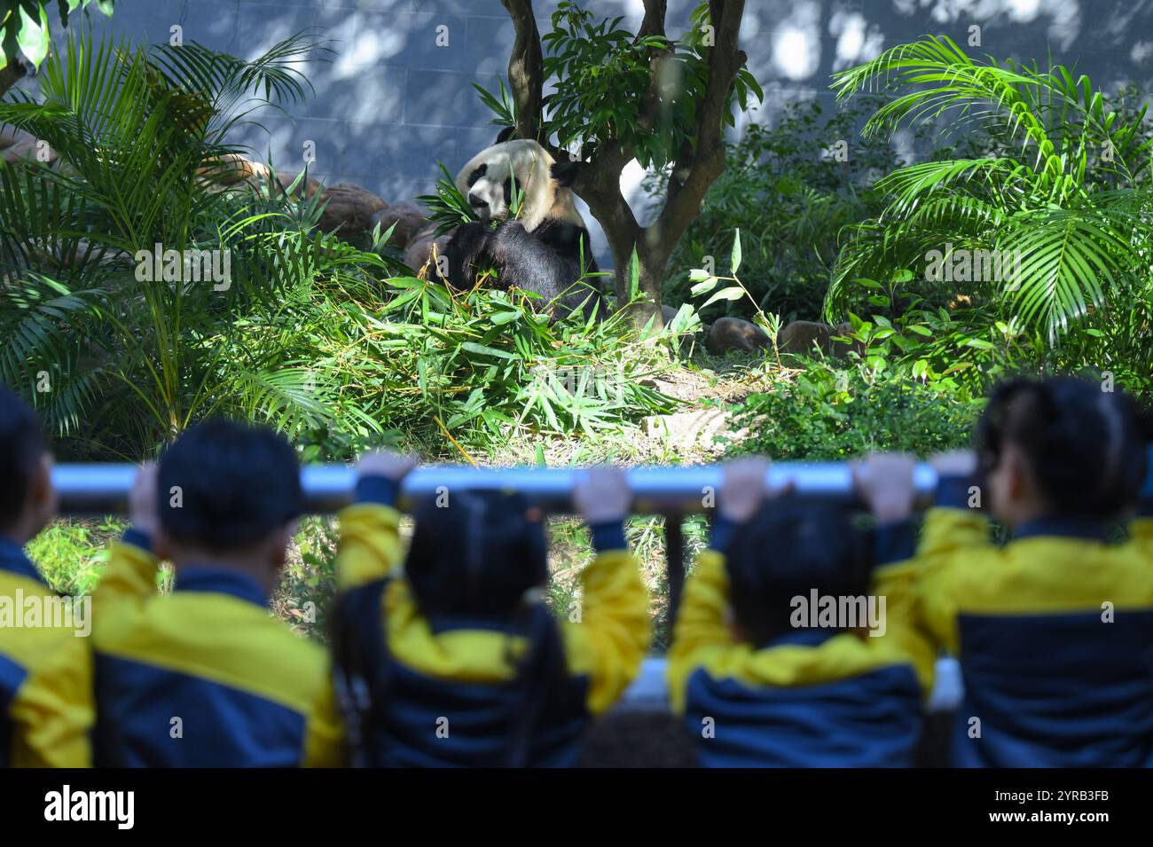 Macao. 29th Nov, 2024. Children look at a panda at Seac Pai Van Park in ...