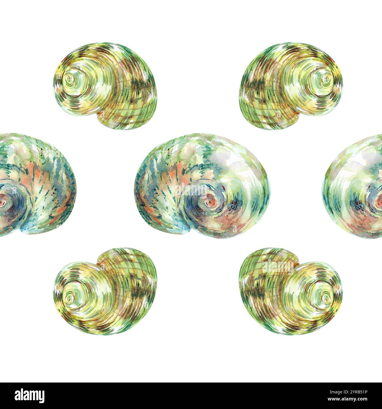 Shell border pattern hi-res stock photography and images - Alamy