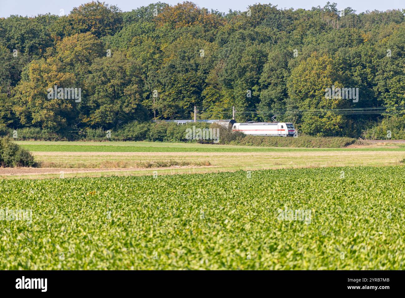 white double-decker people train across a field Stock Photo - Alamy