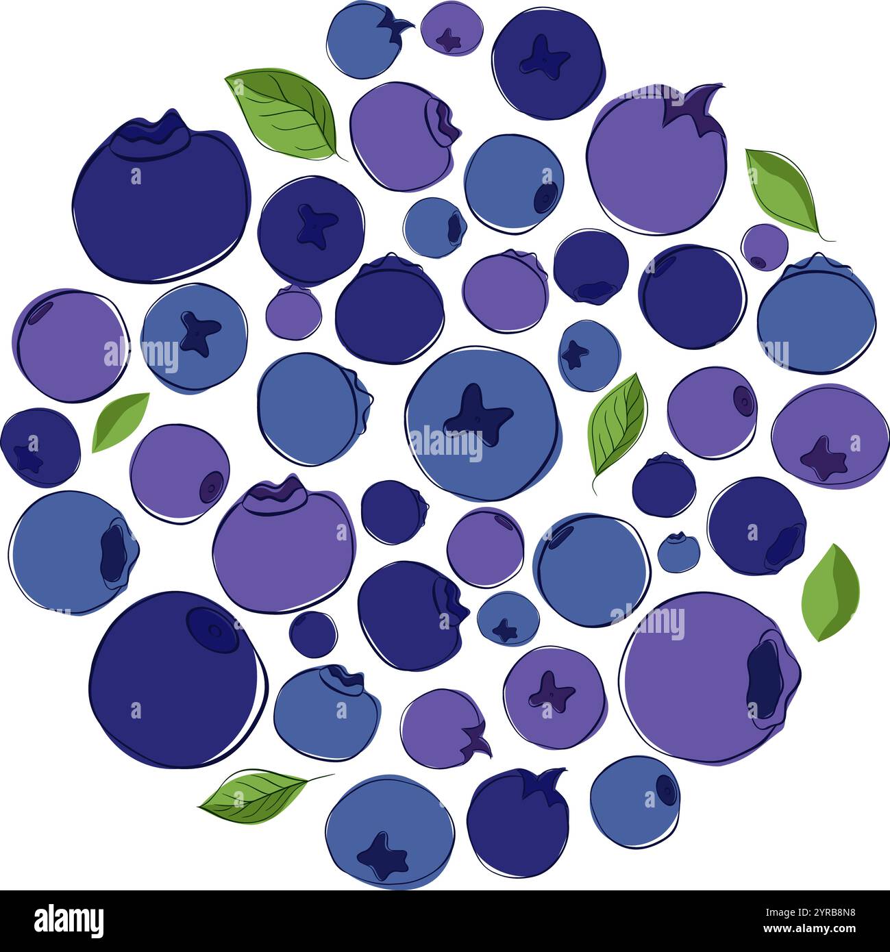 Blueberries with leaves round circle composition isolated on white ...