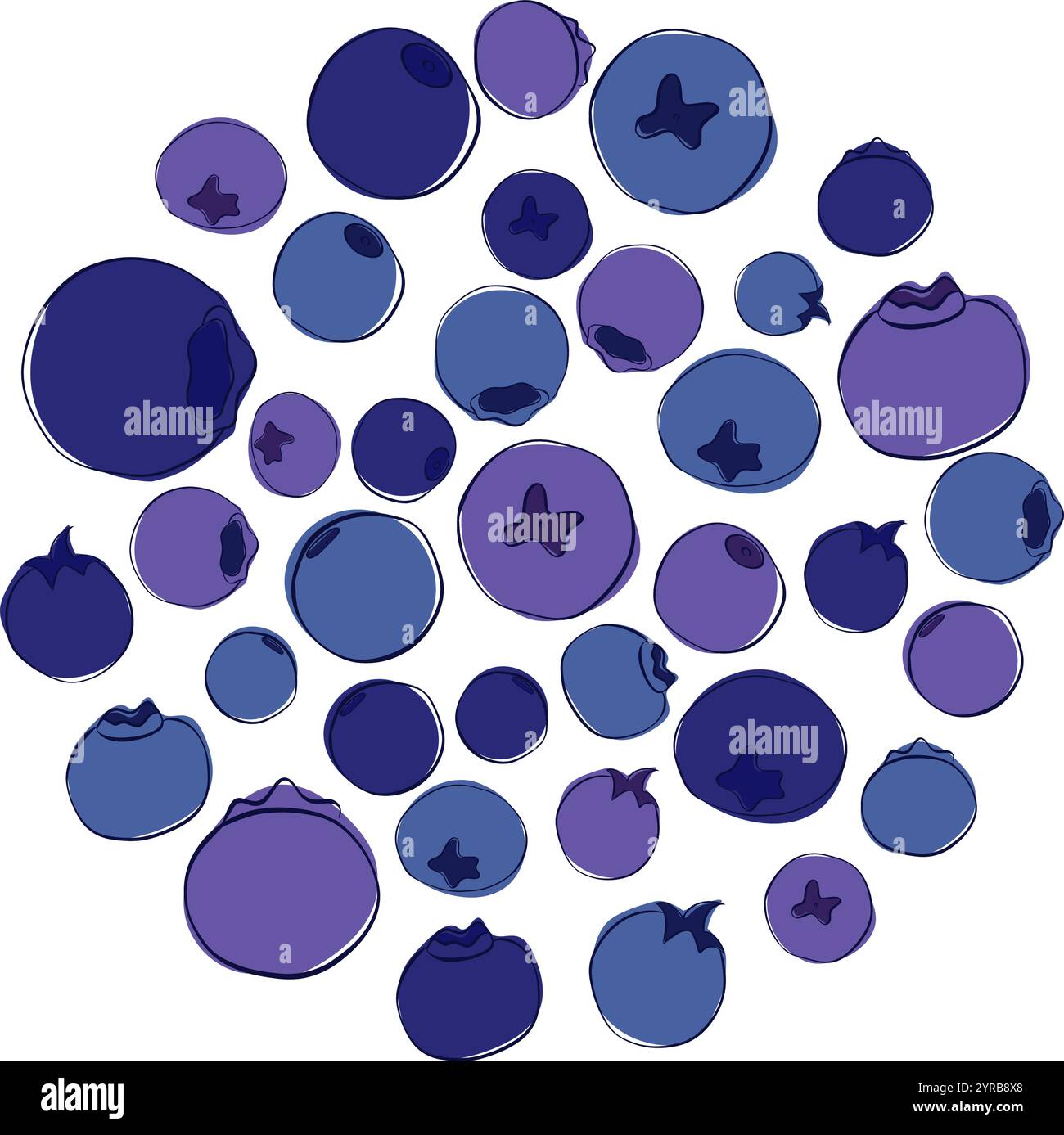 Wild blueberry cut Stock Vector Images - Alamy