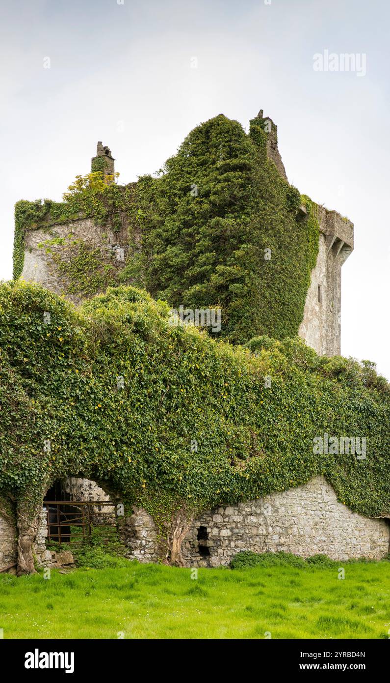 Ireland, County Mayo, Deelcastle, ruins of Deel Castle, burned by IRA ...