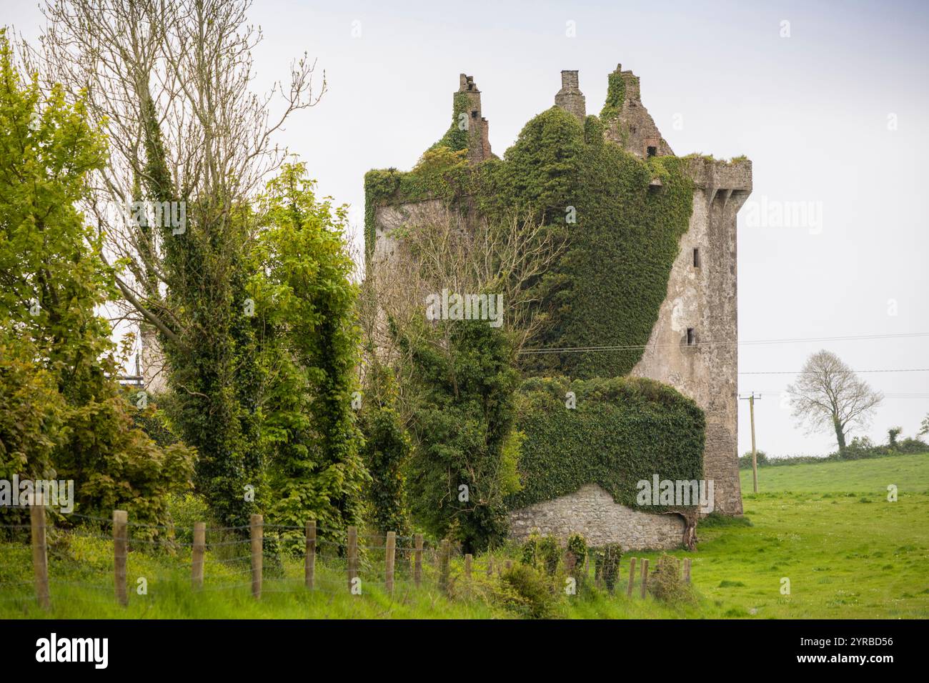 Ireland, County Mayo, Deelcastle, ruins of Deel Castle, burned by IRA ...