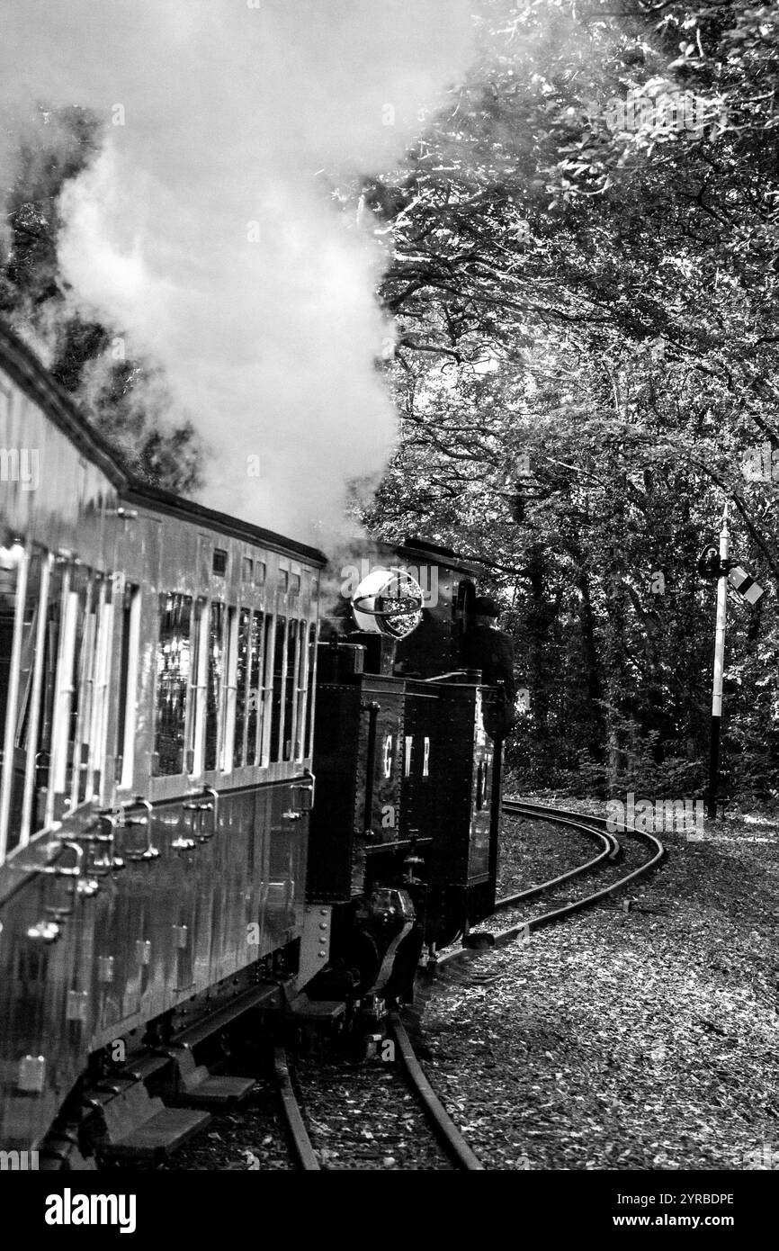 Steam train approaching a curve in the track in the Welsh woodlands, on ...