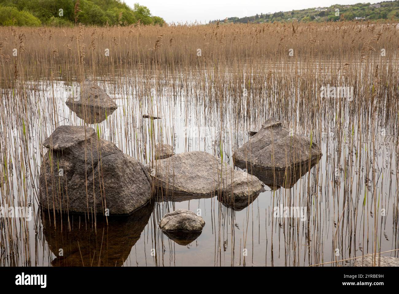 Ireland, County Mayo, Pontoon, Lough Conn shore Stock Photo - Alamy