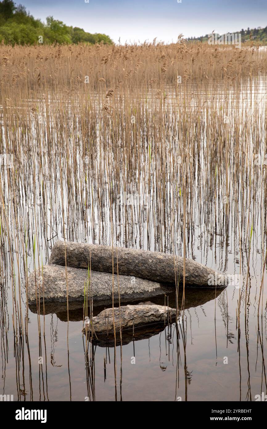 Ireland, County Mayo, Pontoon, Lough Conn shore Stock Photo - Alamy