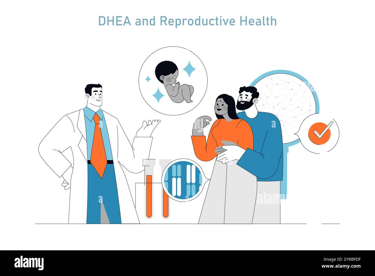 DHEA Supplement concept. Illustration of hormone's role in fertility ...