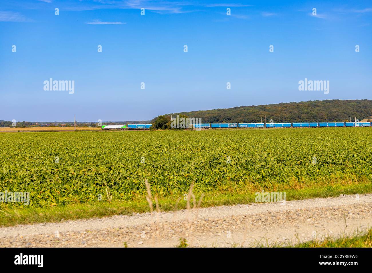 Panorama of a long train with blue wagons Stock Photo - Alamy