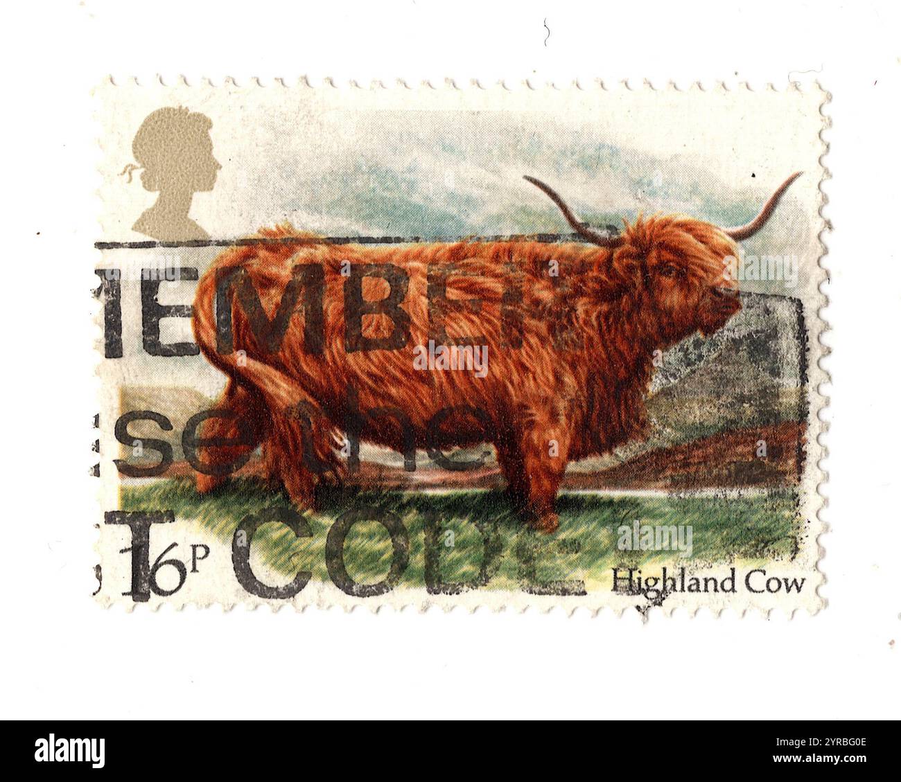 A vintage postage stamp from Great Britain featuring a Highland Cow ...