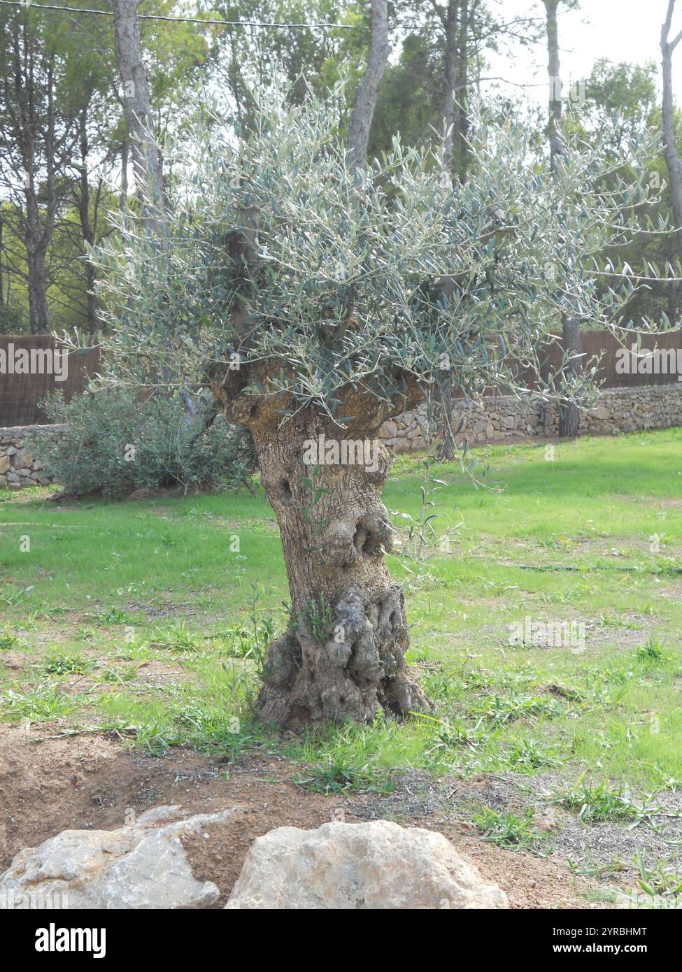 Environment add depth hi-res stock photography and images - Alamy