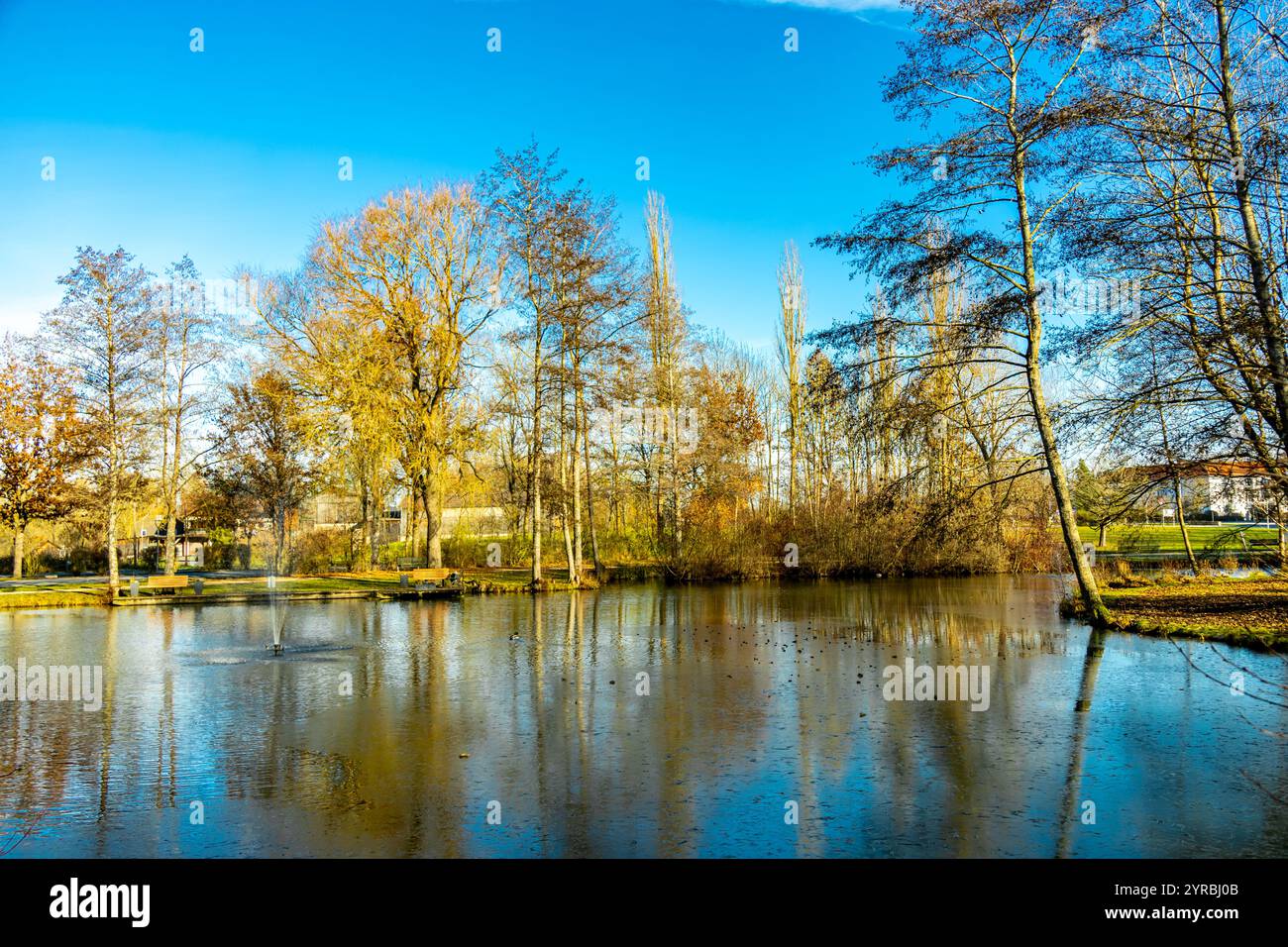 Christmas atmosphere in the spa gardens of the Upper Franconian spa ...