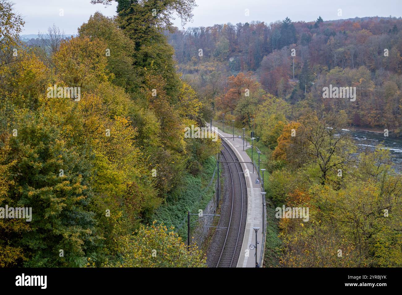 Railroad Tracks Leading Through The Forest Stock Photo - Alamy