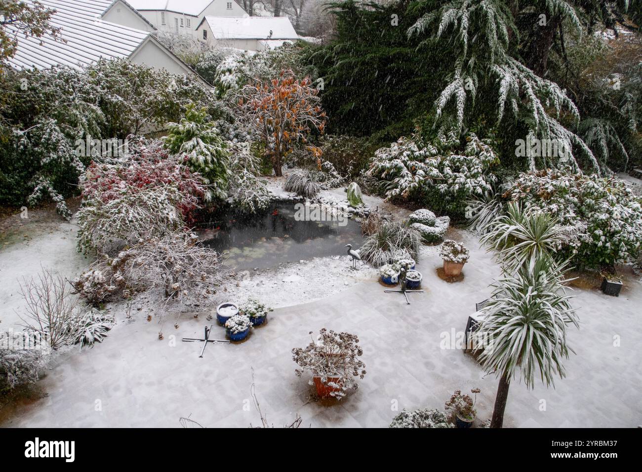 Garden scene during heavy snow, frozen pond, snow covered plants ...