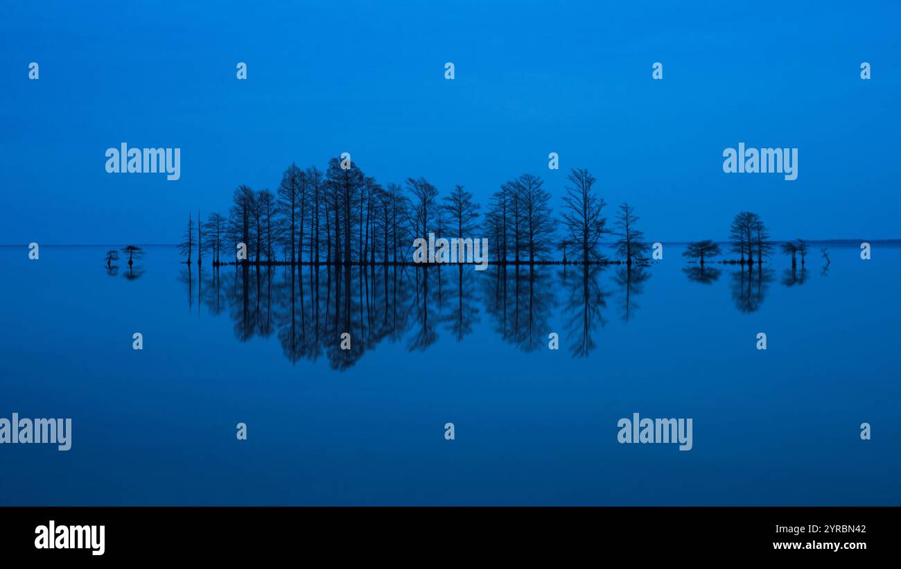 FEB 12, 2022,, Swan Quarter NC, trees with reflection on Lake ...