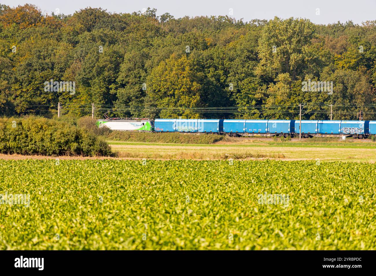 Panorama of a long train with blue wagons Stock Photo - Alamy