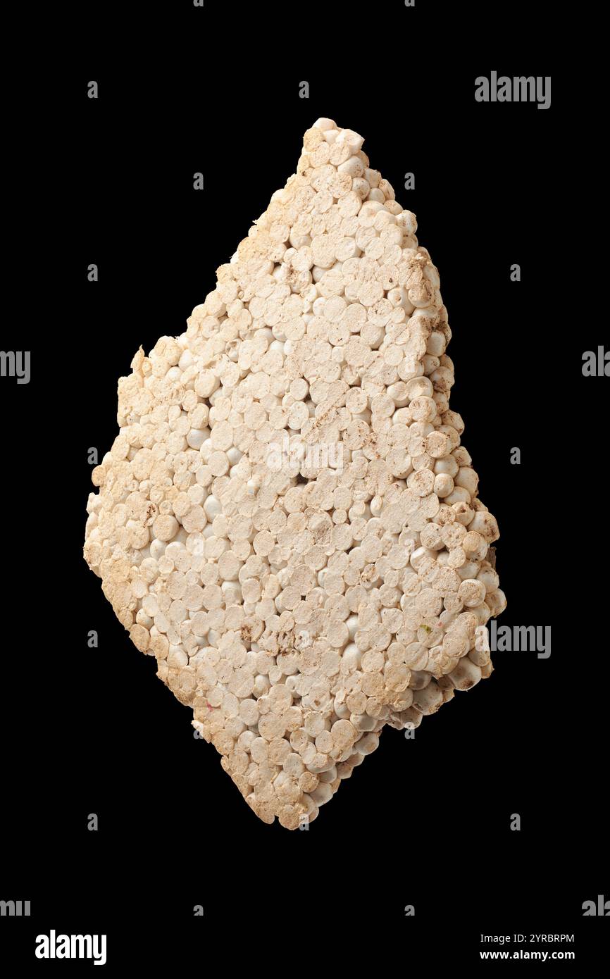 old white styrofoam thrown on dirt outdoor isolated black background ...