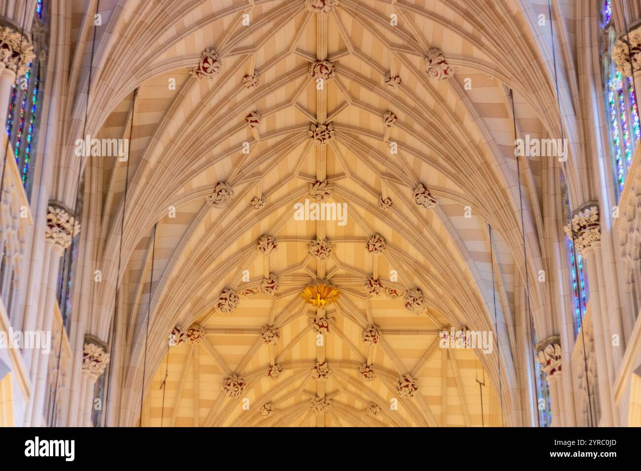 Gothic-style vaulted ceiling inside a historic cathedral adorned with ...