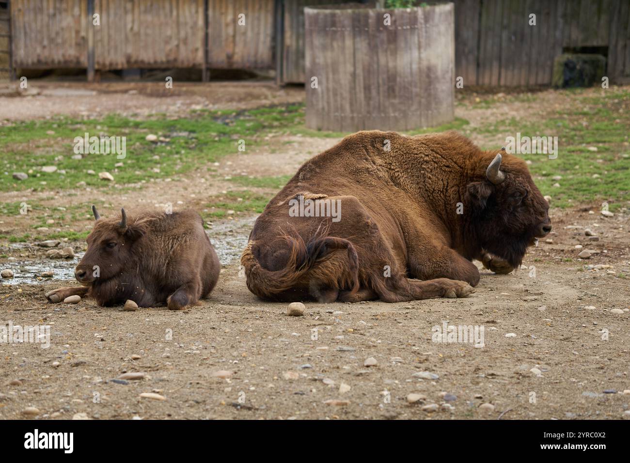 Melaria hi-res stock photography and images - Alamy