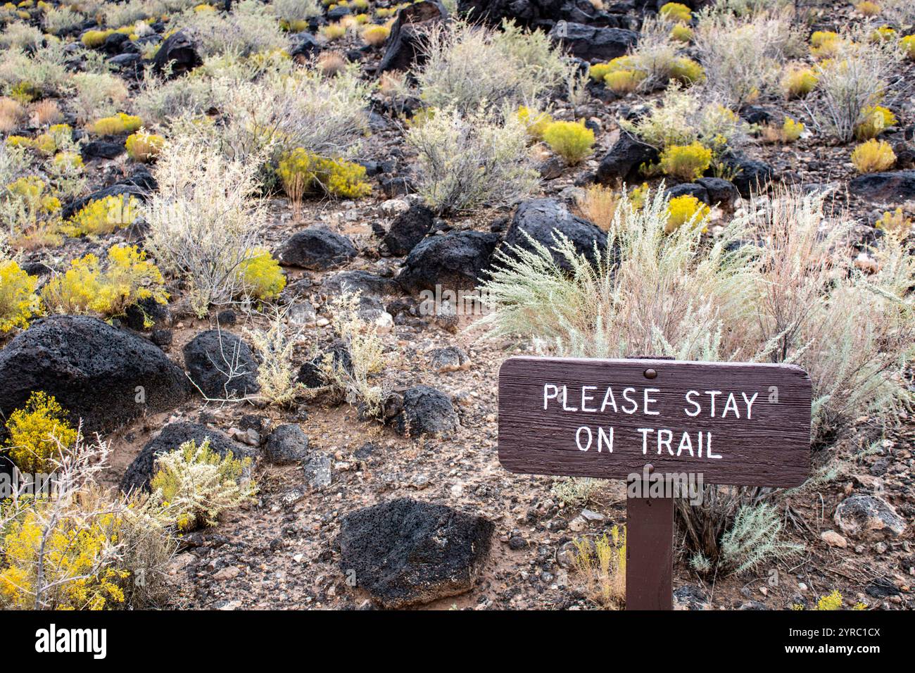 Conservation efforts petroglyph hi-res stock photography and images - Alamy