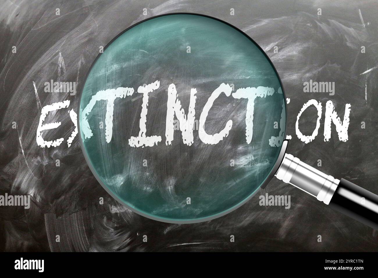 Mammals study hi-res stock photography and images - Alamy