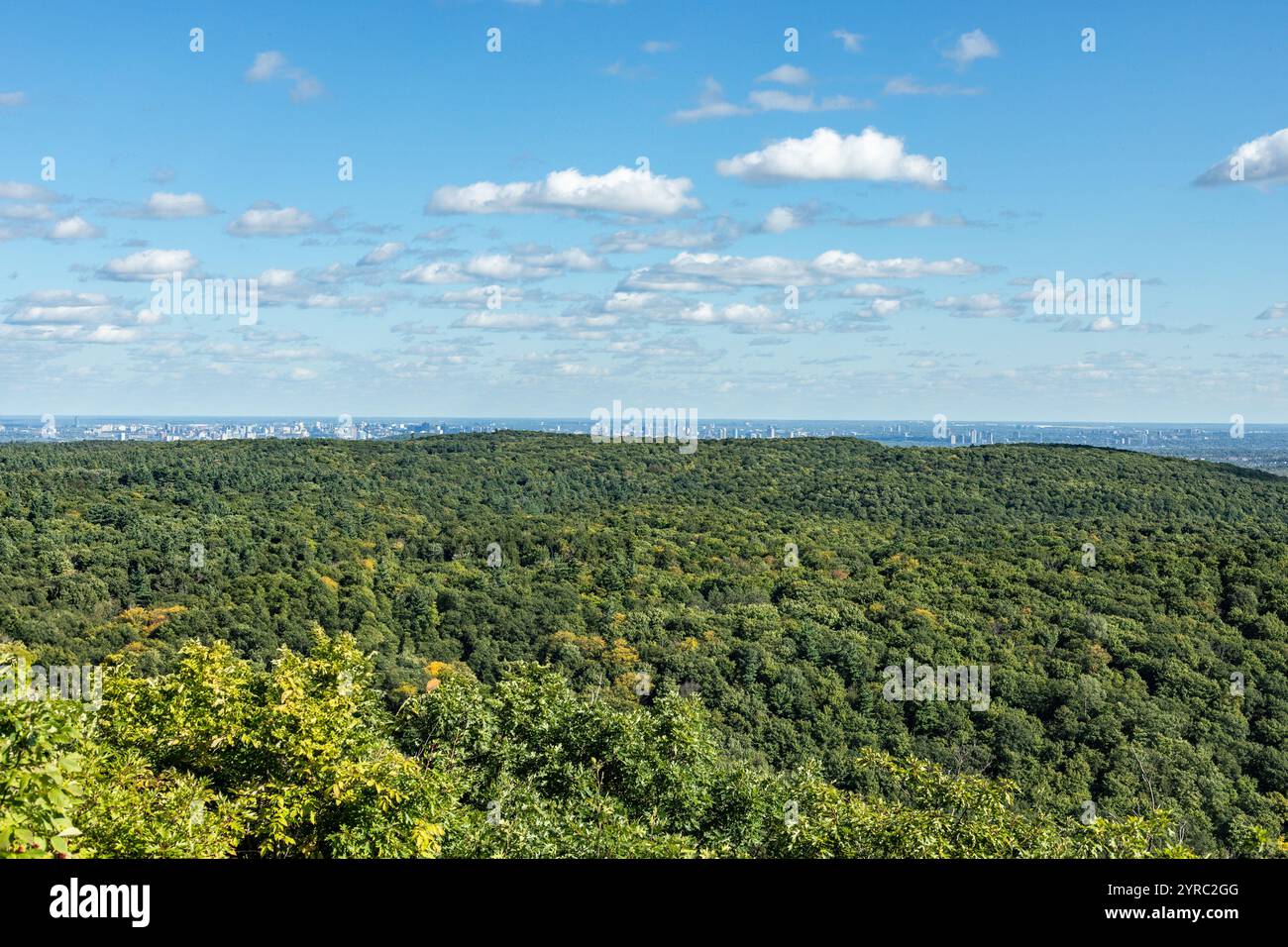 From King Mountain in Gatineau Park, a lush green forest stretches to ...
