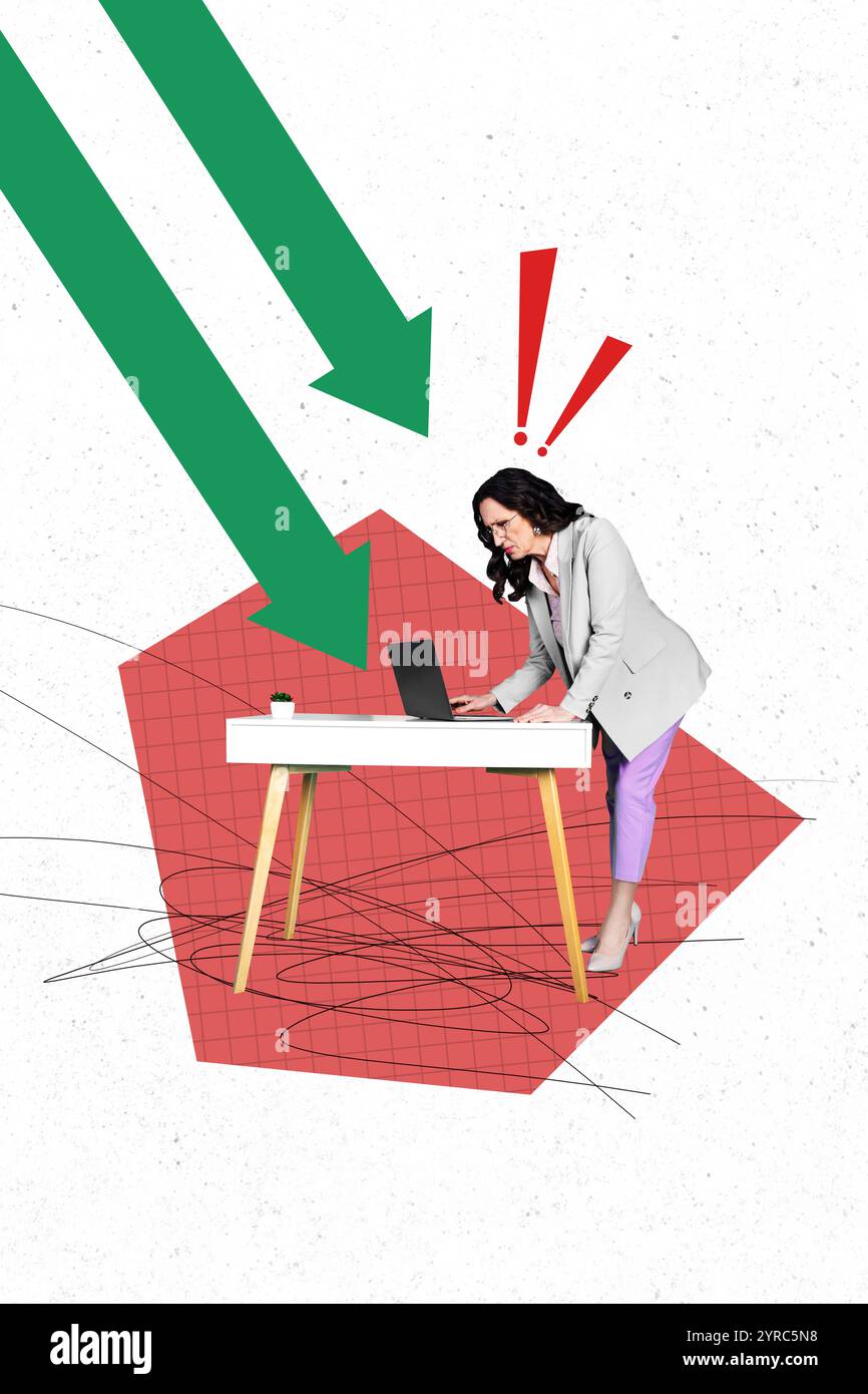 Vertical collage poster mature woman boss workspace laptop browsing ...