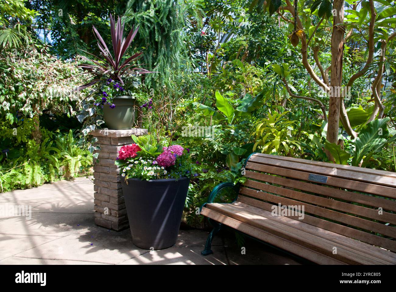 Plants and flowers bloom inside a conservatory with a wooden park bench ...