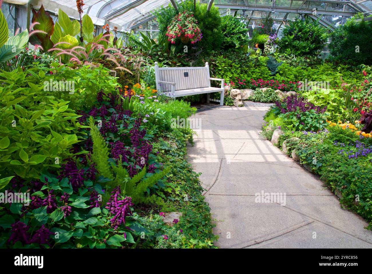Interior of a conservatory with green plants and white park bench Stock ...