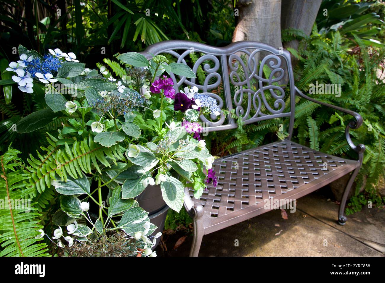 Plants and flowers bloom inside a conservatory with a cast iron park ...