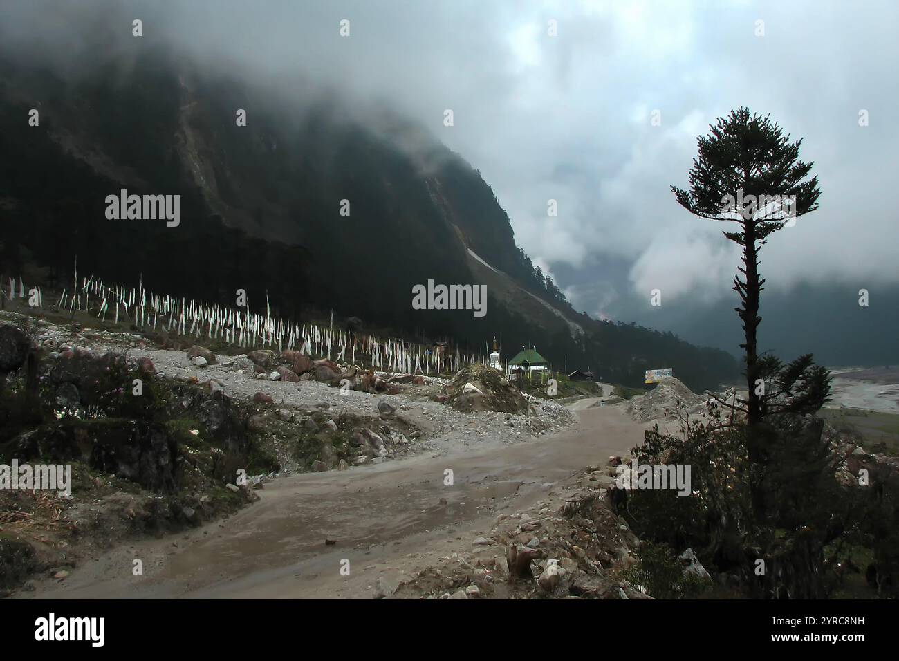 View of Yumthang Valley or Sikkim Valley of Flowers sanctuary ...