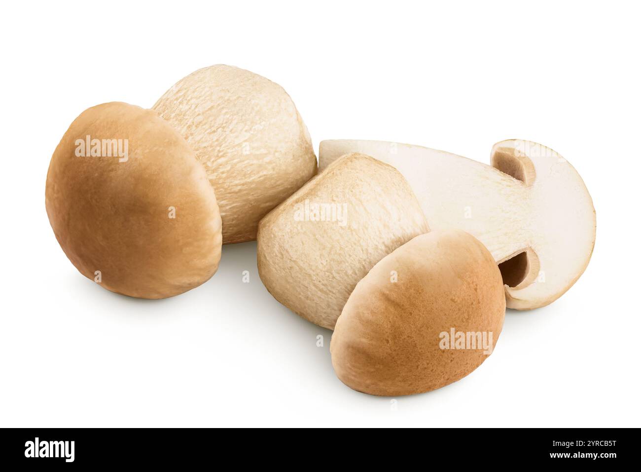 Fresh porcini cep mushroom isolated on white background with full depth ...
