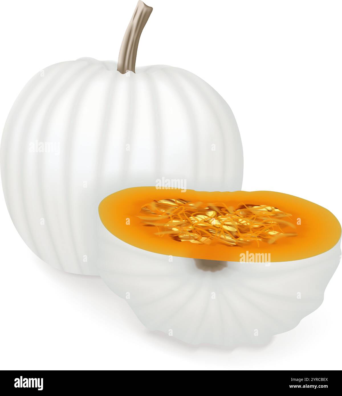 Whole and chopped Casper pumpkin or Lumina Pumpkin. Winter squash ...