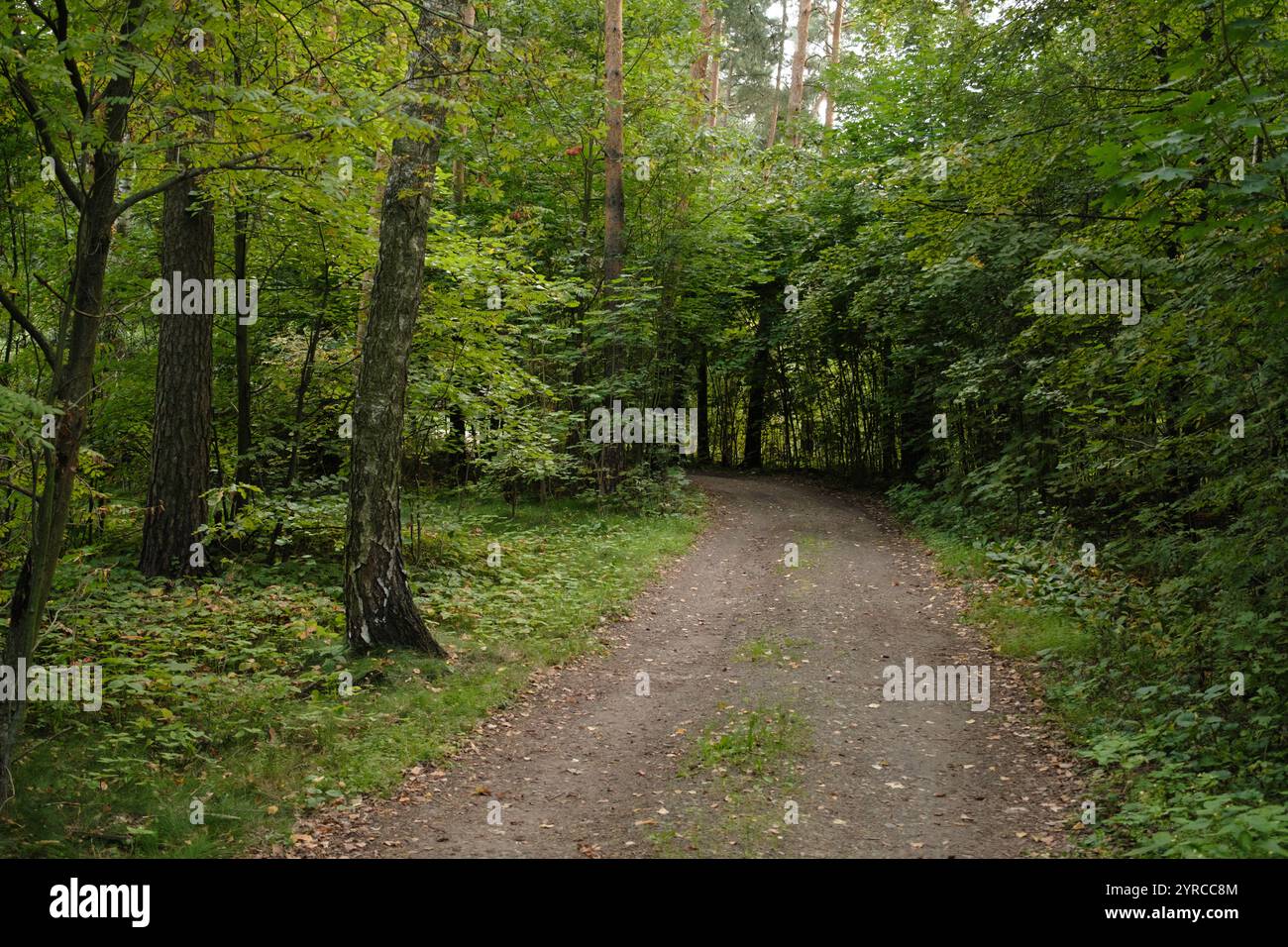 Narrow dirt path winding hi-res stock photography and images - Alamy